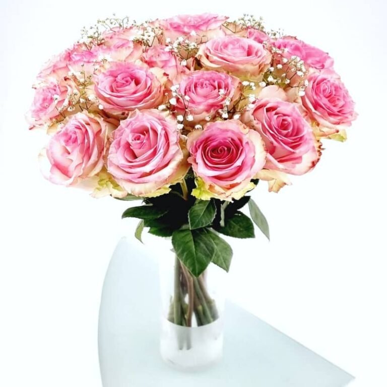 Bouquet de FLEURS Casablanca - Bouquet 20 roses